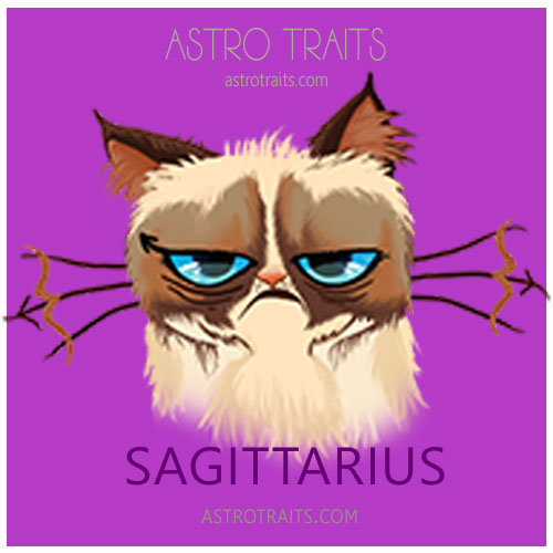 Sagittarius -The Archer ♐ : Everything About SAGITTARIUS Zodiac Sign